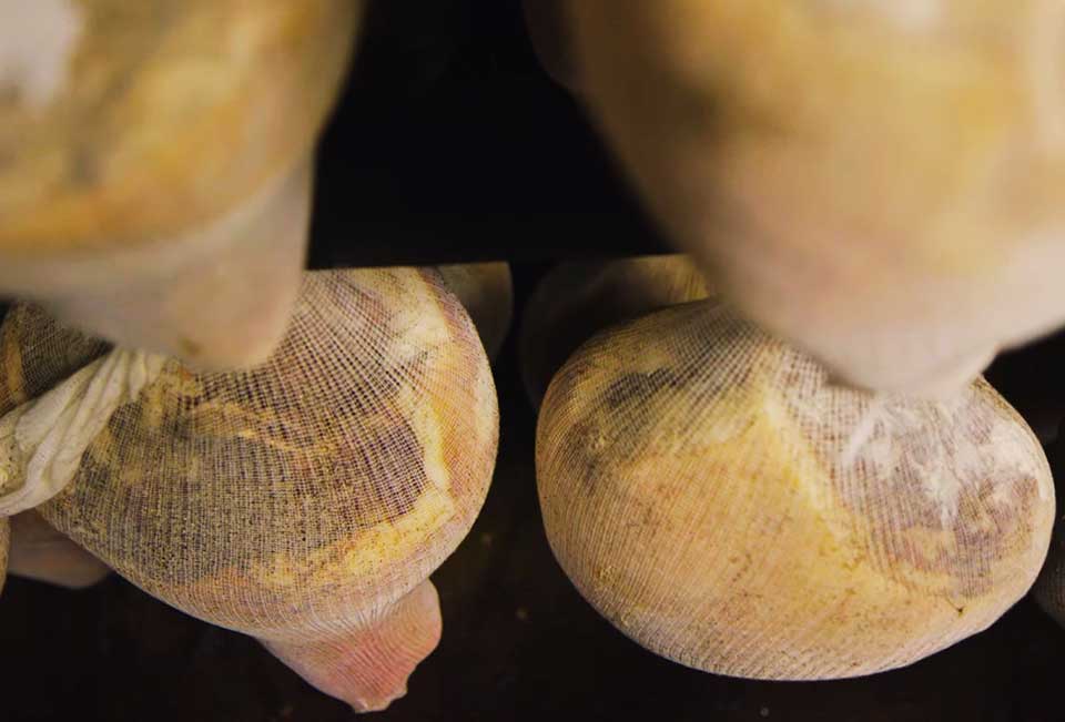 Our Process: Traditional Country Ham Curing at Hobe's